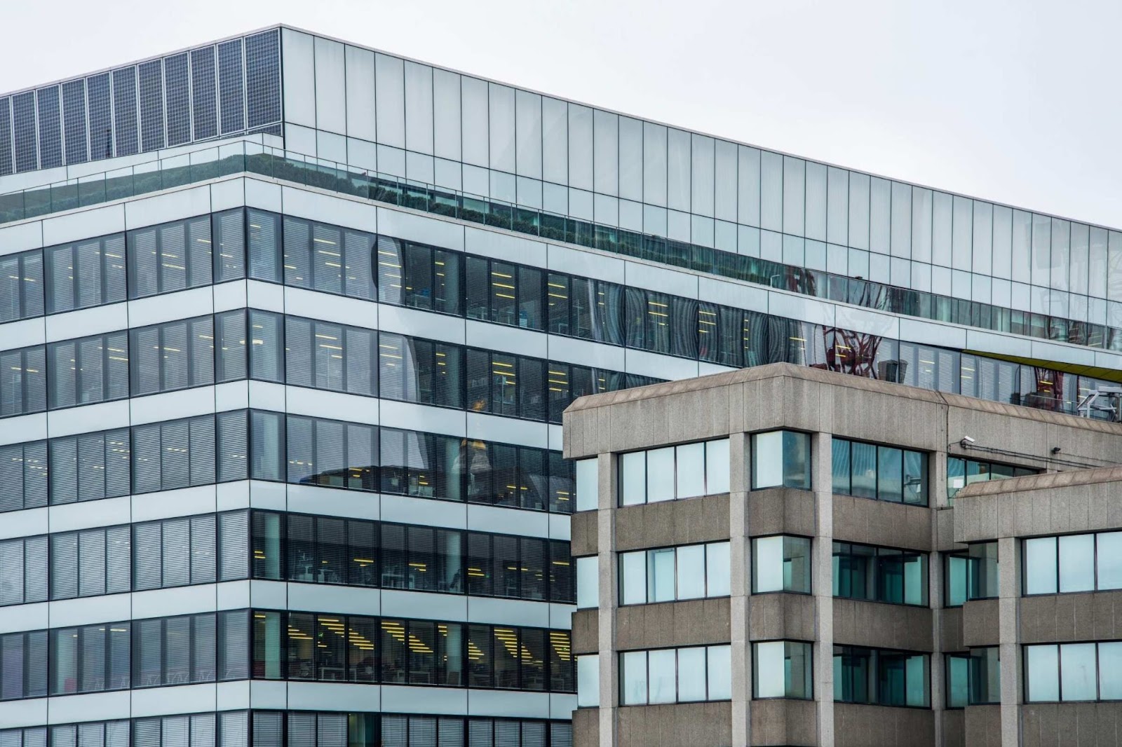Connecticut Business Entity Search | Commenda