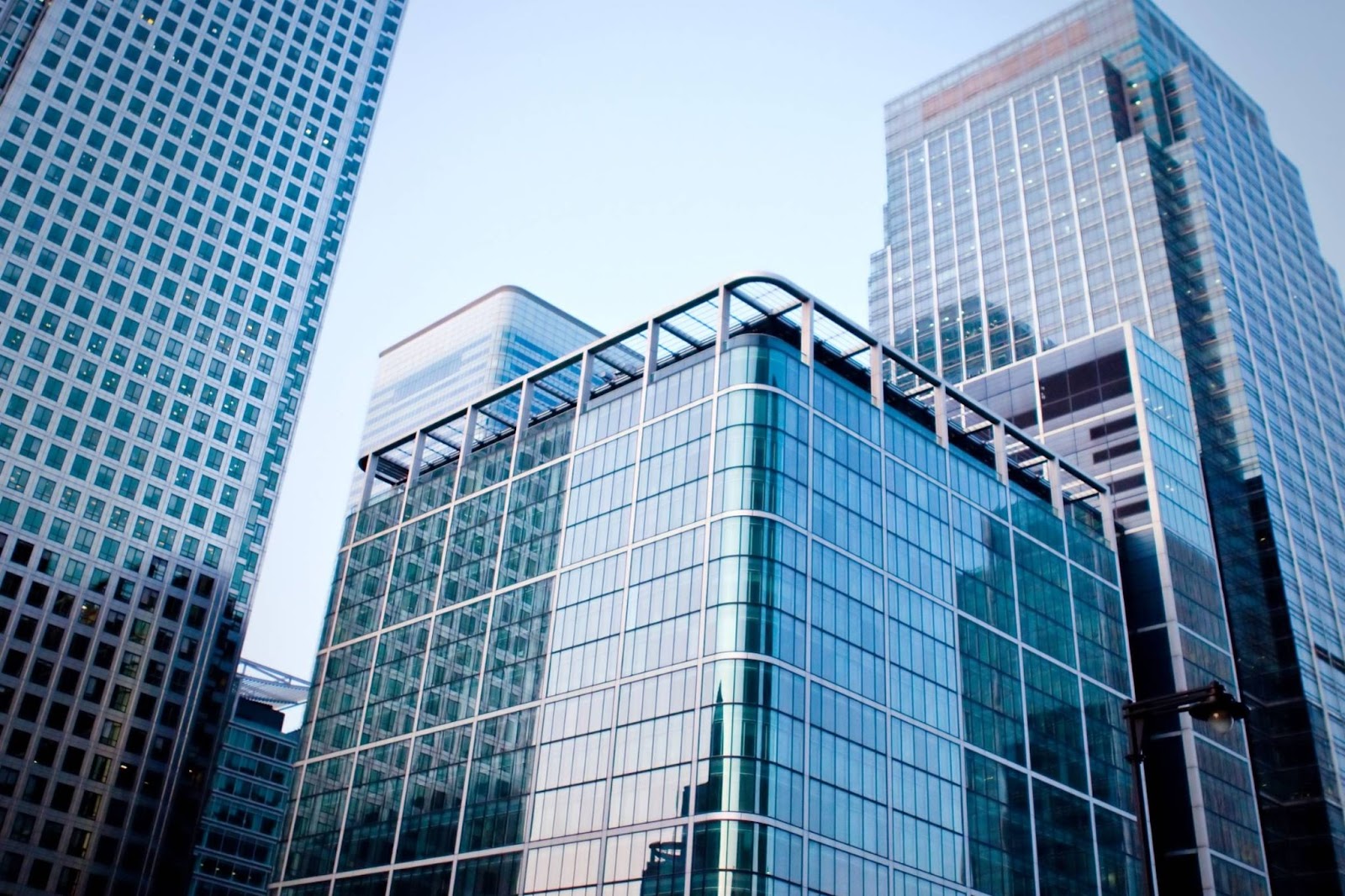 North Carolina Business Entity Search | Commenda