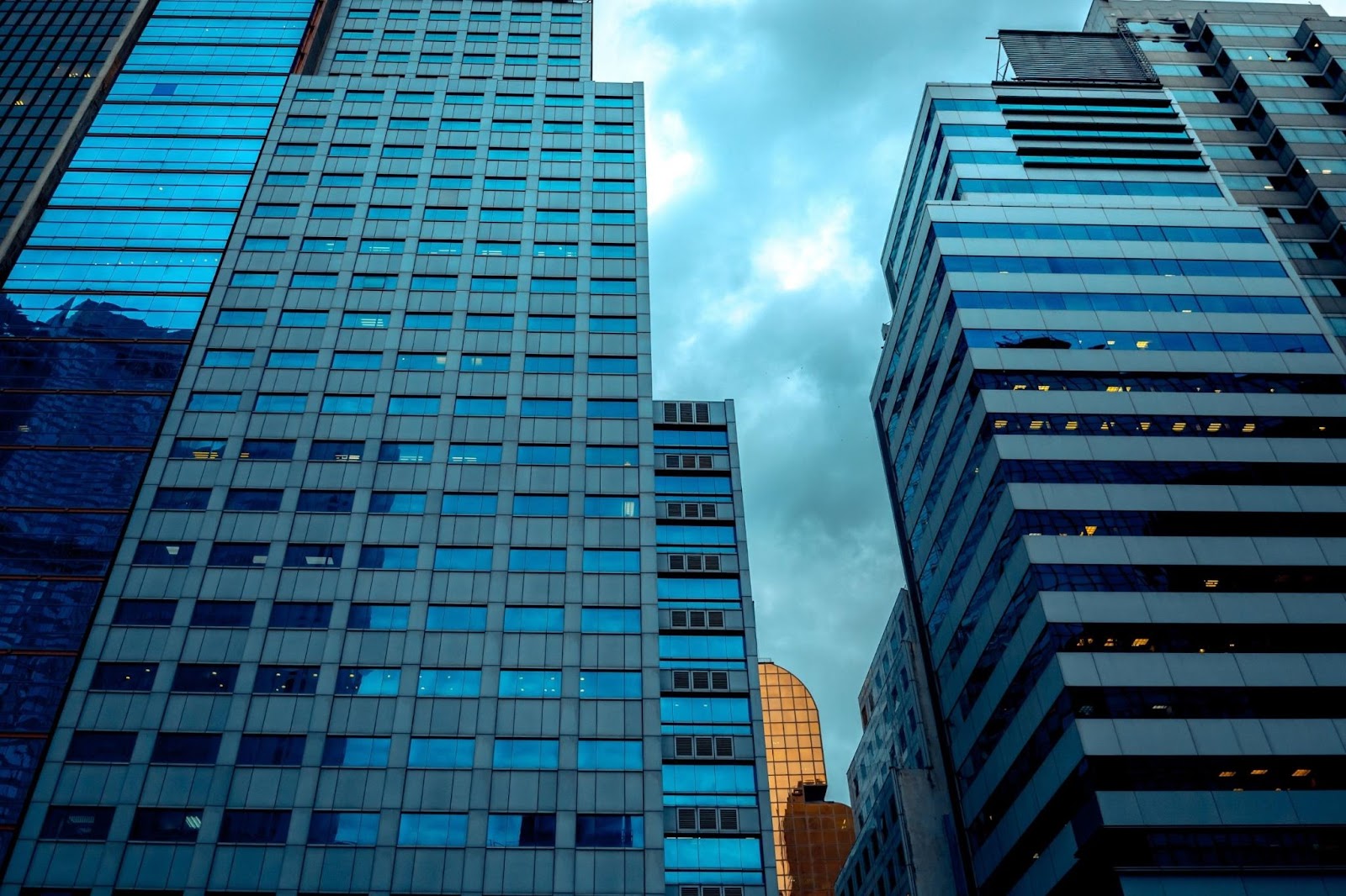 South Carolina Business Entity Search | Commenda